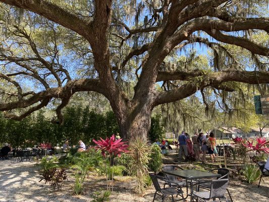 BOUNTIFUL FARMS BISTRO - Updated February 2025 - 82 Photos & 53 Reviews ...