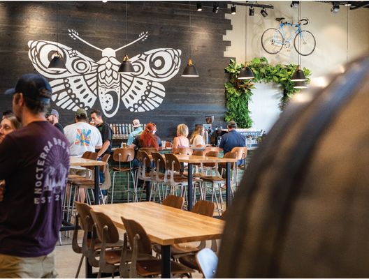 NOCTERRA BREWING CO. - AUDUBON - Updated December 2025 - 95 Photos & 42 ...