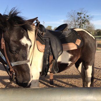 RIVER RANCH TEXAS HORSE PARK - Updated July 2025 - 71 Photos & 26 ...
