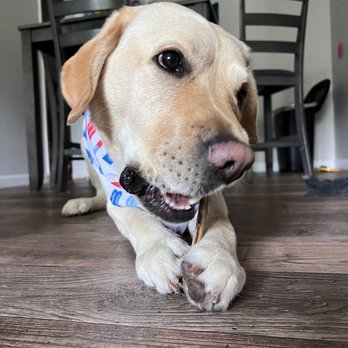 PETSMART - Updated October 2025 - 59 Photos & 135 Reviews - 575 Rohnert ...