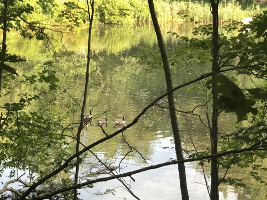 NEW JERSEY AUDUBON SOCIETY - 14 Photos - 9 Hardscrabble Rd ...