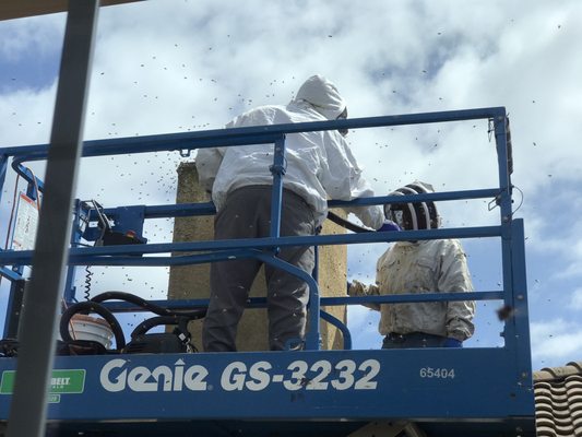 PRO PACIFIC PEST CONTROL - Updated December 2025 - 52 Photos & 293 ...