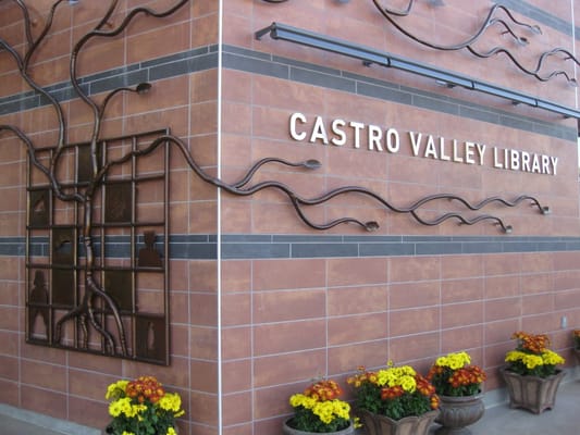 CASTRO VALLEY LIBRARY - Updated July 2025 - 40 Photos & 116 Reviews ...