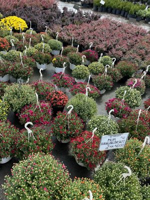 GASKO’S FAMILY FARMS - Updated April 2025 - 93 Photos & 205 Reviews ...