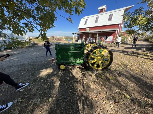 BERRY PATCH FARMS - Updated November 2025 - 47 Photos & 42 Reviews ...