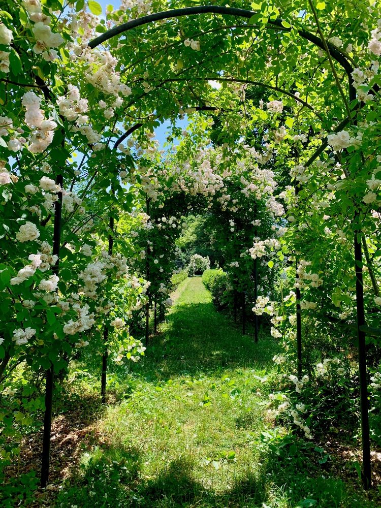 LOCUST GROVE ESTATE - Updated October 2025 - 18 Photos - 2683 S Rd ...