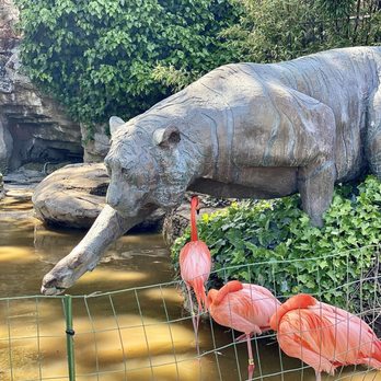 CHARLES PADDOCK ZOO - Updated August 2025 - 322 Photos & 162 Reviews ...