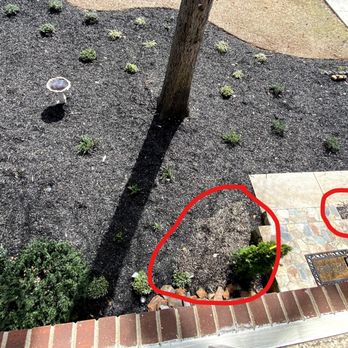 BRYSON DOUG GRADING & HAULING - Updated November 2025 - 31 Killian Hill ...