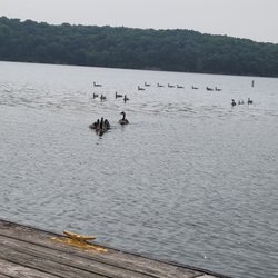 LAKE JACOMO MARINA - 29 Photos - 7401 W Park Rd, Blue Springs, Missouri ...