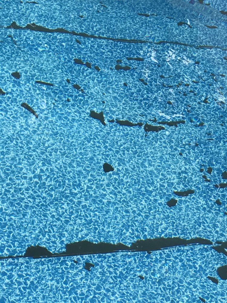 TAD POOLS - 49 W Edwards St, Iselin, New Jersey - Pool Cleaners - Phone ...