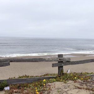 KEHOE BEACH - Updated July 2024 - 103 Photos & 33 Reviews - Point Reyes ...