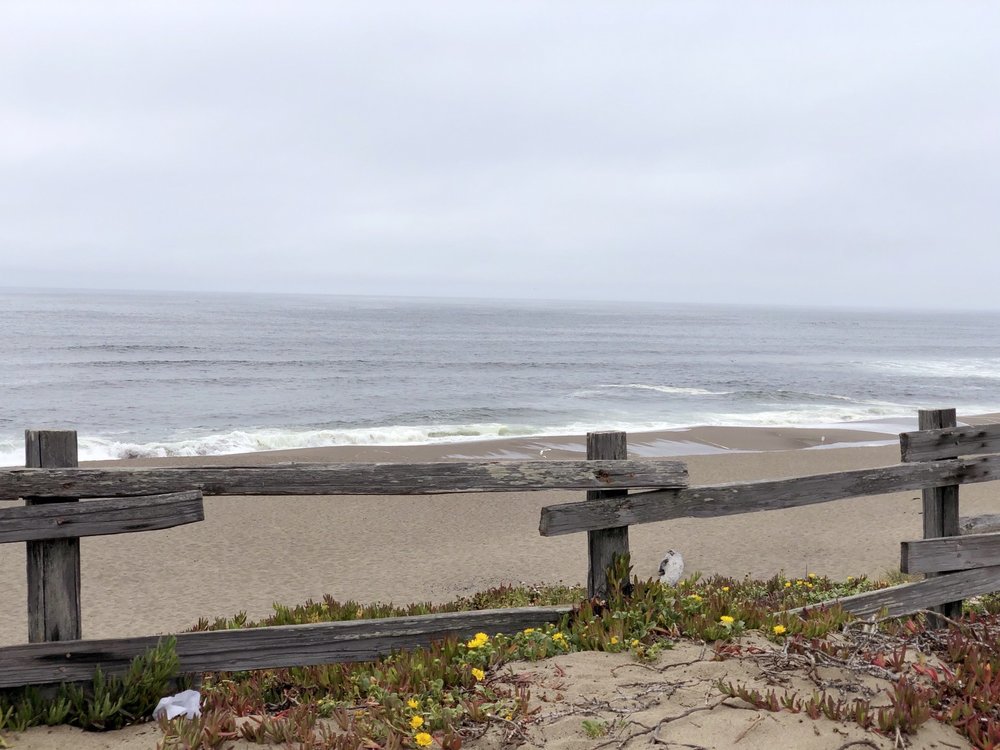 POINT REYES BEACH NORTH - Updated December 2025 - 51 Photos - Point ...