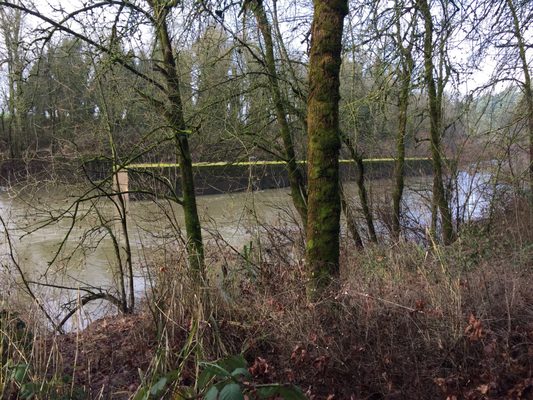 LAFAYETTE LOCKS COUNTY PARK - Parks - 3988 SE Locks Rd, Lafayette, OR ...