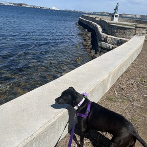 PERROTTI PARK - Updated October 2025 - 21 Photos - American's Cup Ave ...