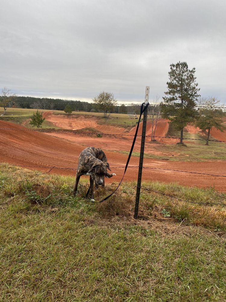 GOLDEN PINES RACEWAY - Updated February 2025 - 103 Golden Pine Rd ...