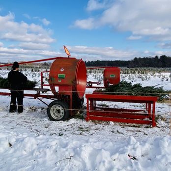 BROADVIEW CHRISTMAS TREE - Updated December 2025 - 28 Photos & 19 ...