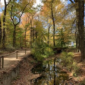 SNEADS FARM - 89 Photos & 31 Reviews - 18294 Tidewater Trl ...