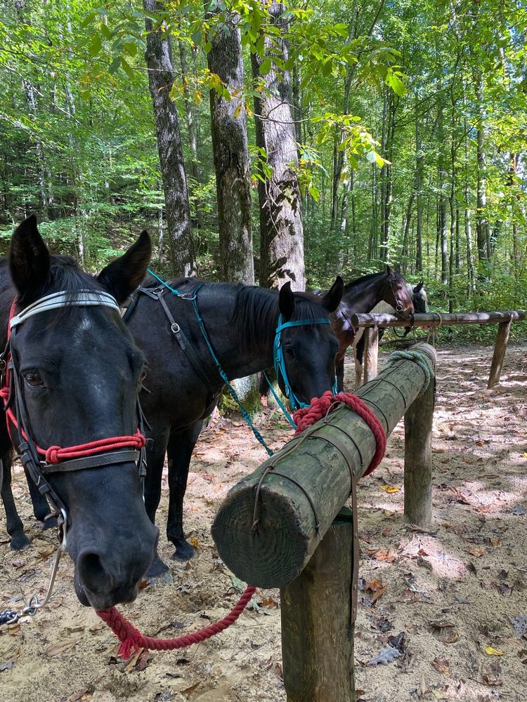 BANDY CREEK CAMPGROUND - Updated September 2024 - 21 Photos - Oneida ...
