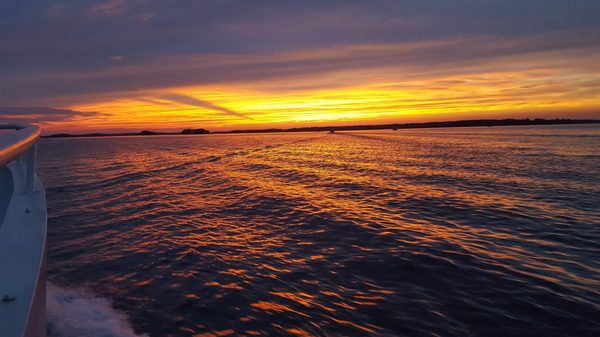 THE SPIRIT OF LAKE MURRAY - Updated September 2025 - 14 Photos - 216 ...