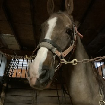 CROSS CREEK STABLES - Updated November 2025 - 76 Photos & 11 Reviews ...