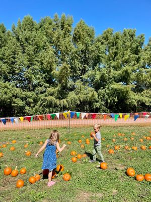 CLARK’S ELIOAK FARMS - 277 Photos & 108 Reviews - 10500 Clarksville ...