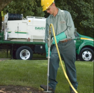 THE DAVEY TREE EXPERT COMPANY - Request a Quote - 13 Photos - 805 N ...