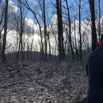 WARD POUND RIDGE RESERVATION - Updated October 2025 - 60 Photos & 25 ...