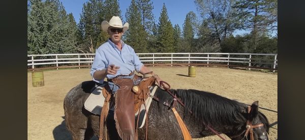 ROBERT TURNEY - CENTURY 21 - Updated August 2025 - 111 Main St ...