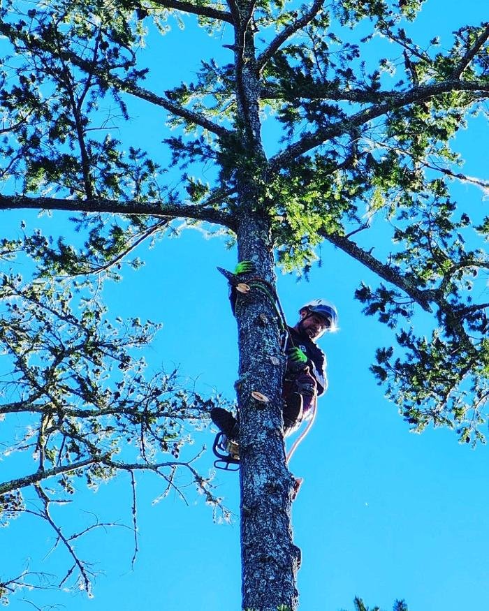 MAYAN CLIMBER - Updated August 2025 - 12 Reviews - Novato, California ...