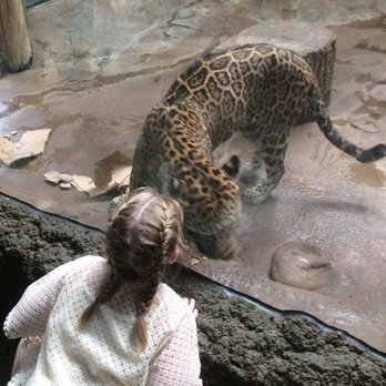 MESKER PARK ZOO & BOTANIC GARDEN - Updated January 2025 - 258 Photos & 39 Reviews - 1545 Mesker ...