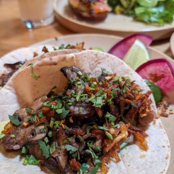 OCOTILLO - Updated October 2024 - 80 Photos & 29 Reviews - 211 Danforth ...