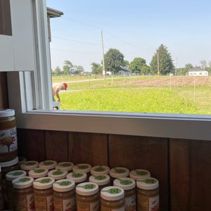 VACCHIANO FARM - Updated January 2026 - 139 Photos & 31 Reviews - 803 ...