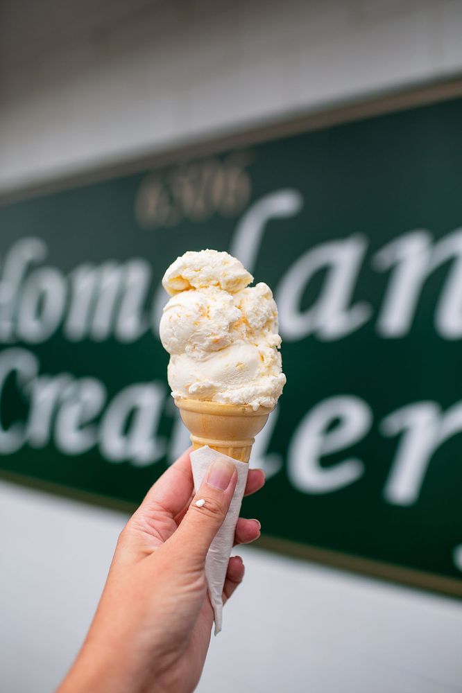 HOMELAND CREAMERY - 32 Photos & 42 Reviews - 6506 Bowman Dairy Rd ...
