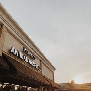 MONROE ROAD ANIMAL HOSPITAL - Updated September 2025 - 21 Photos & 68 ...