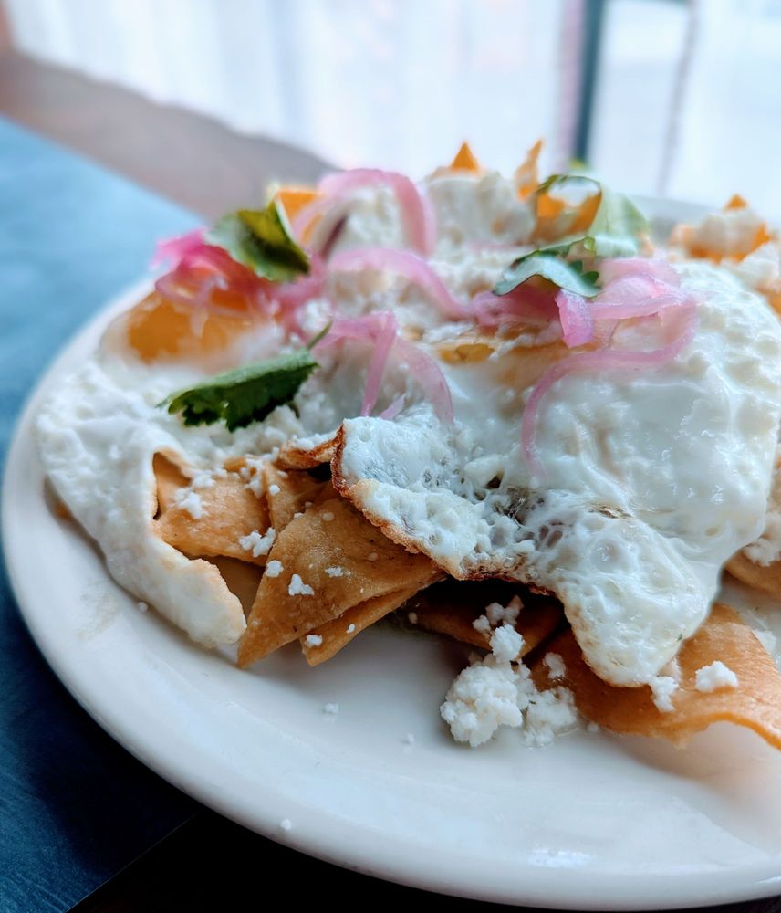 CAFE TONDO - Updated September 2025 - 35 Photos & 20 Reviews - 1135 N ...