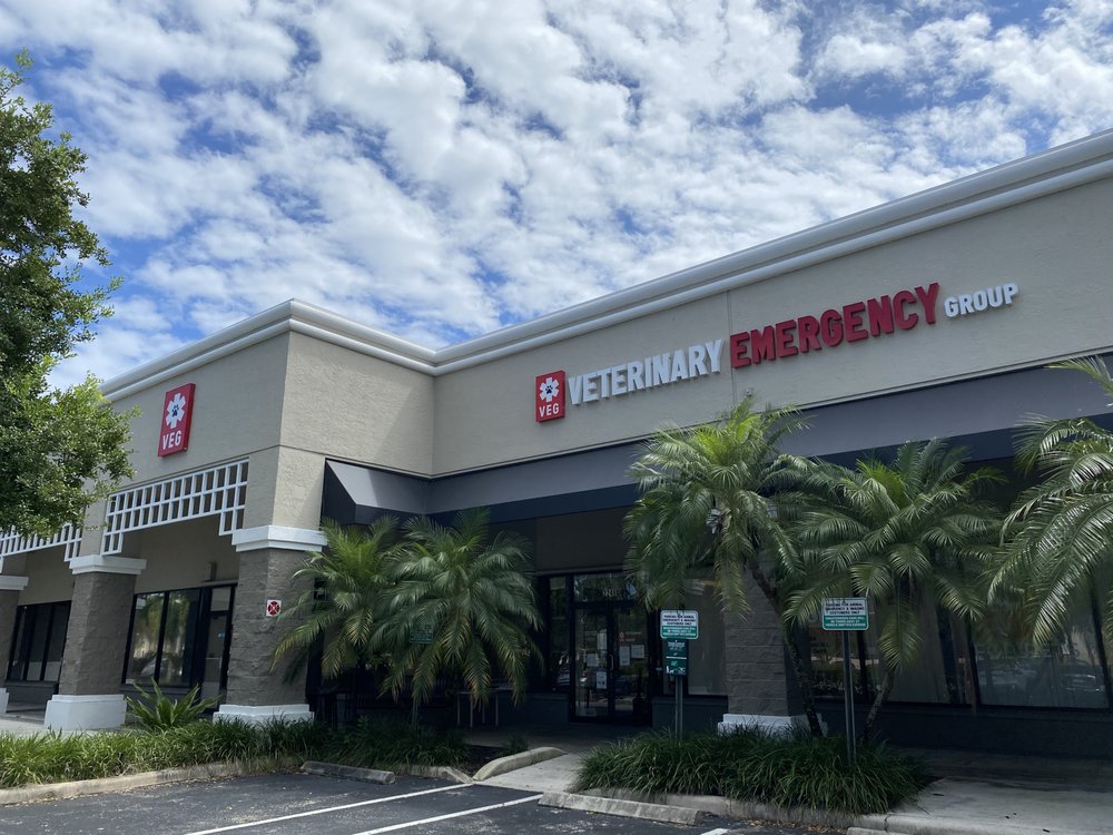 Veterinary Emergency Group Boynton Beach