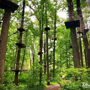 THE ADVENTURE PARK AT SANDY SPRING FRIENDS SCHOOL - 170 Photos & 264 ...