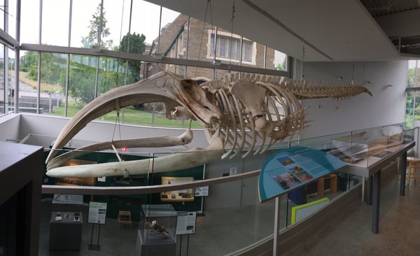 MUSEUM OF THE EARTH - 29 Photos & 20 Reviews - 1259 Trumansburg Rd ...