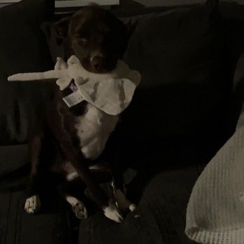 TOLEDO HUMANE SOCIETY - Updated October 2025 - 20 Photos & 14 Reviews ...