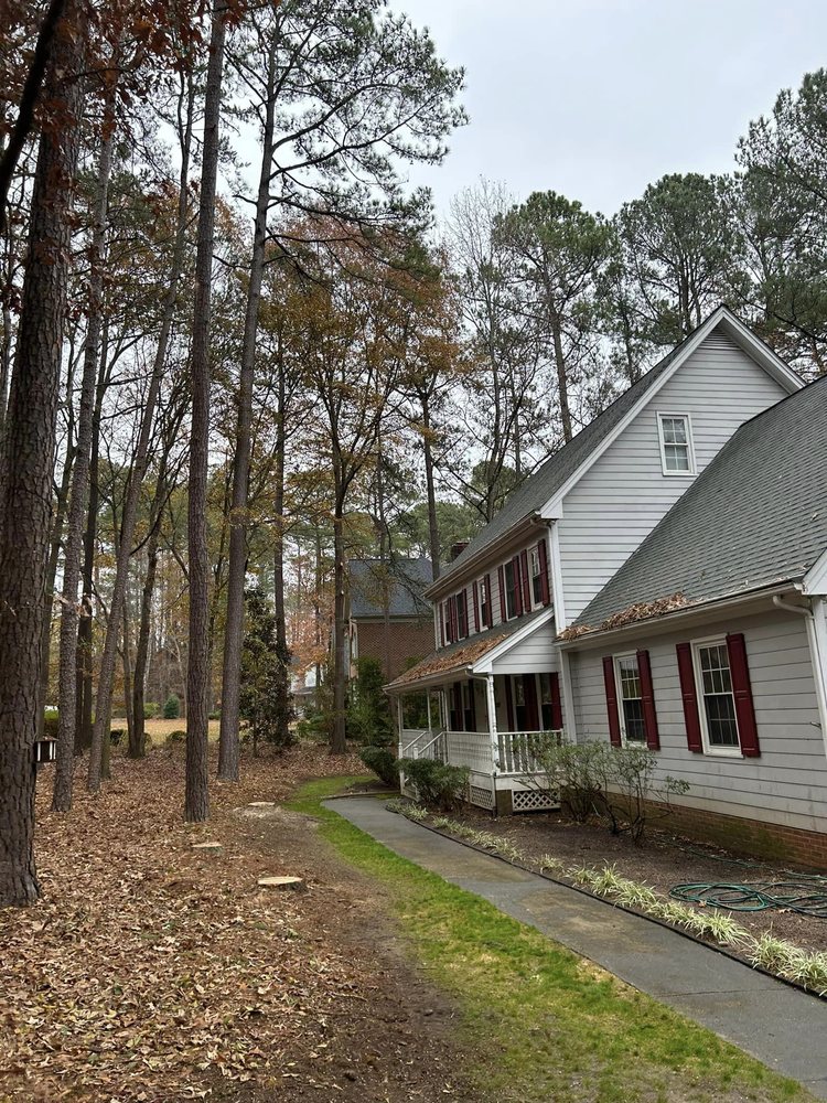 RALEIGHWOOD TREE SERVICES - Updated December 2025 - Request a Quote ...