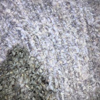 HAMLIN BEACH STATE PARK - Updated August 2024 - 96 Photos & 45 Reviews ...