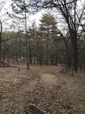 PROVIN TRAILS - 22 Photos - Hiking - 2900 4 Mile Rd NE, Grand Rapids ...