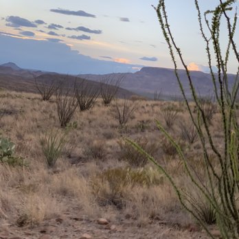 TARANTULA RANCH - Updated October 2025 - 31 Photos - 2000 Swafford Rd ...
