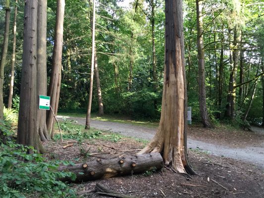 SIMON FRASER HILLS PARK - Updated December 2025 - 74 Photos - 9025 ...