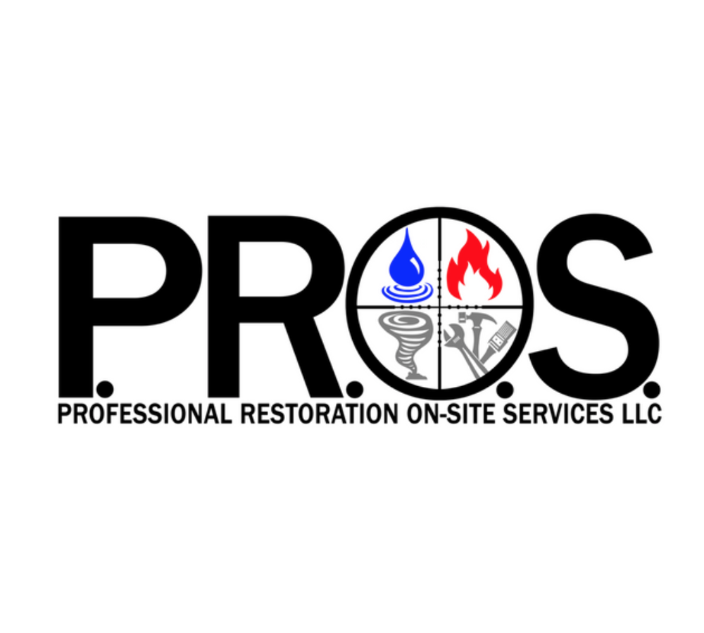 PROFESSIONAL RESTORATION ON-SITE SERVICES - Updated December 2024 ...