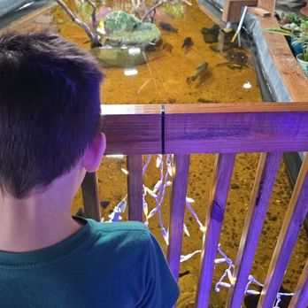 FLOATING SEA AQUATICS - Updated September 2025 - 269 Photos & 59 ...