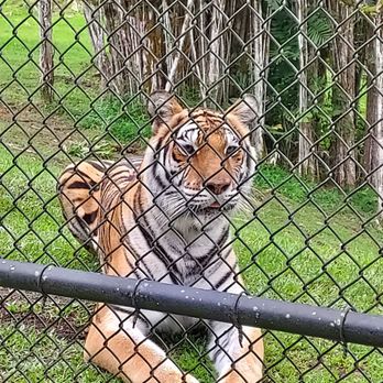 PANA’EWA RAINFOREST ZOO & GARDENS - Updated November 2024 - 789 Photos ...