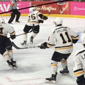 SCOTIABANK CENTRE - Updated December 2025 - 24 Photos & 35 Reviews ...