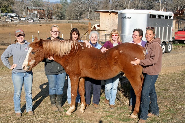 REHORSE RESCUE RANCH - Updated August 2025 - Jamestown, California ...