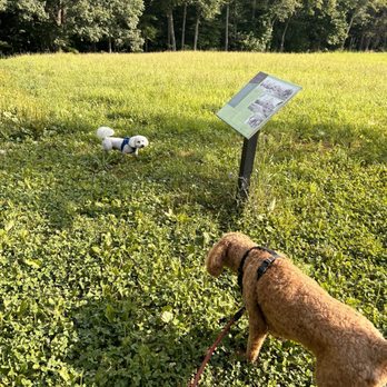 NORTHAMPTON DOG PARK - Updated January 2026 - 15 Photos & 11 Reviews ...